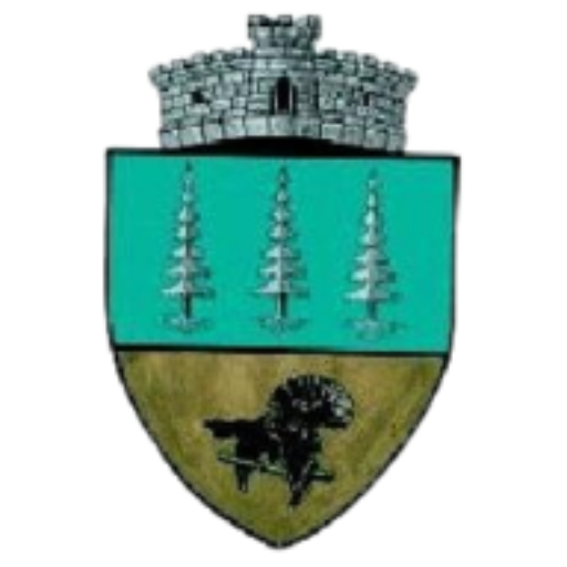 Organigrama - Comuna Panaci | Județul Suceava